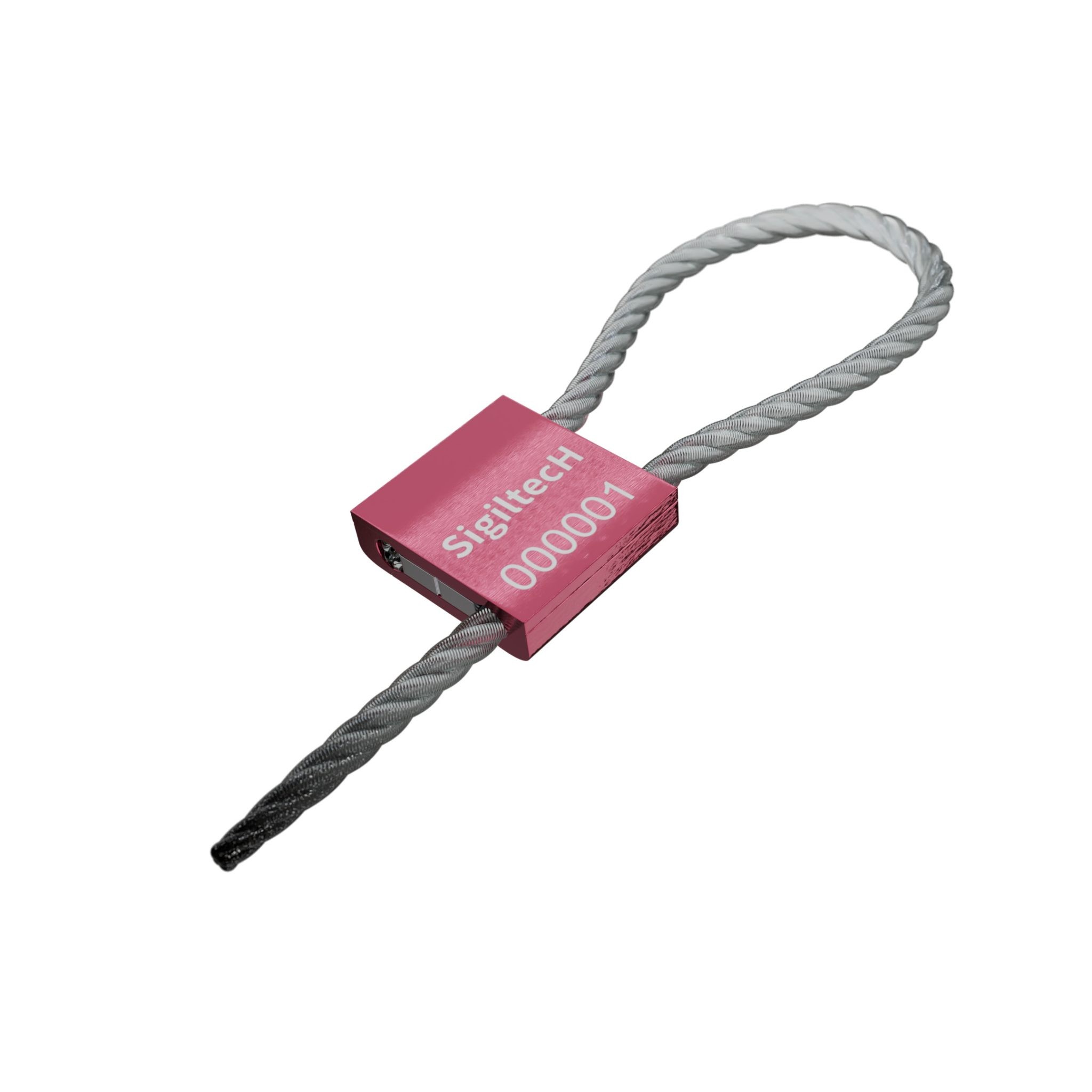 SigiltecH Flexigrip 500M: Sigillo Alta Sicurezza ISO 17712:2013 per ...